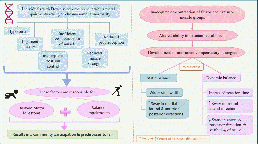 Gross motor dysfunction and balance impairments in children and ...
