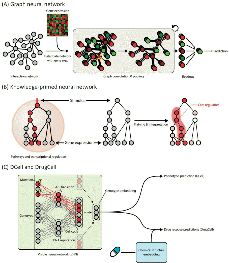 Knowledge-guided artificial intelligence technologies for decoding ...