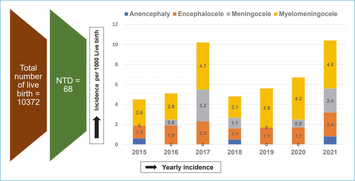 Graphical abstract. Yearly incidence of different types of neural tube ...