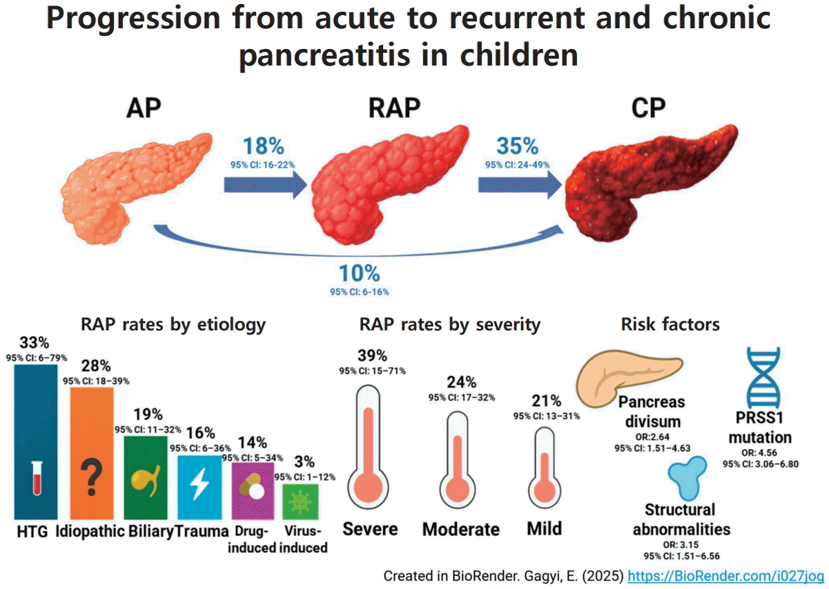 Graphical abstract. AP, acute pancreatitis; RAP, recurrent acute ...